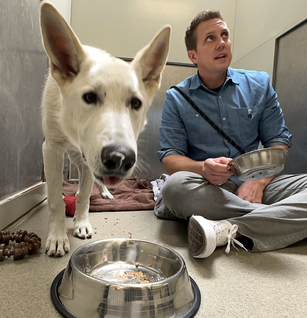 Watch The Moment This Dog Realizes The Thanksgiving Meal Is For Him! - Rocky Kanaka